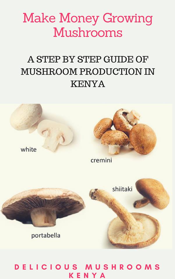 A Step by step guide to Mushroom Production